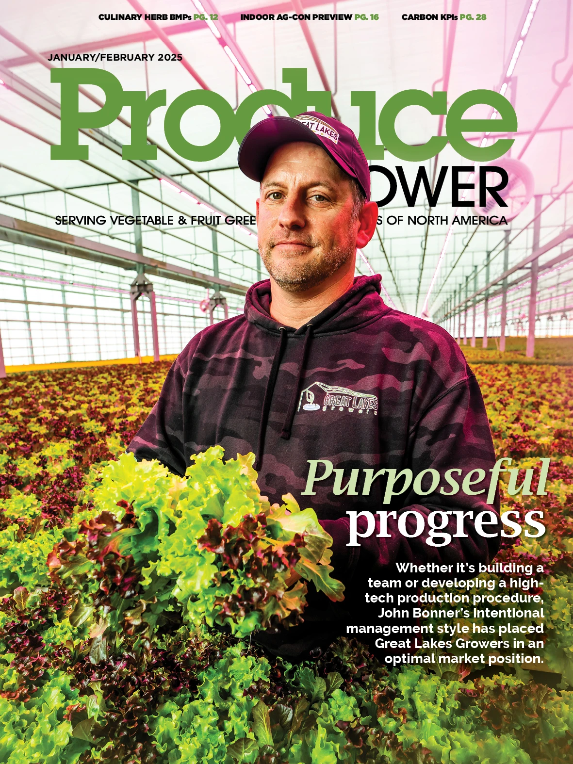 This fast and agile robotic insect could someday aid in mechanical ...