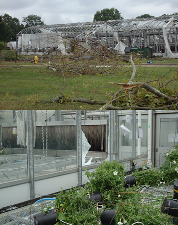 Ohio St. Univ.-OARDC facility cleaning up from tornado - Greenhouse ...