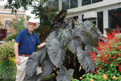 Univ. of Ga. hort professor Allan Armitage featured on The Martha ...