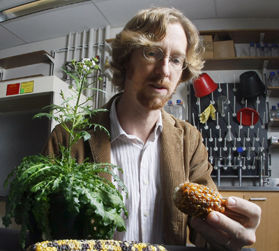 Plant defects caused by chromosome imbalances - Greenhouse Management