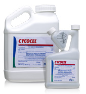 Cycocel Plant Growth Regulator - Greenhouse Management
