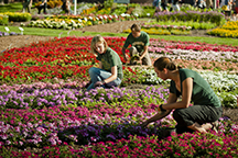 Groups update plant trials database - Greenhouse Management