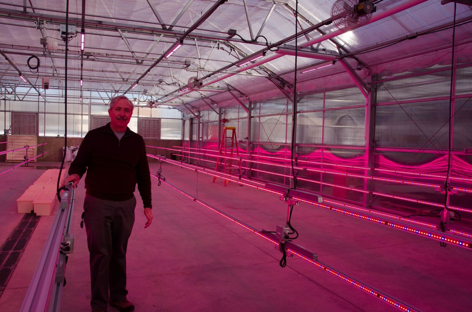 LED: a strong option for growers - Greenhouse Management