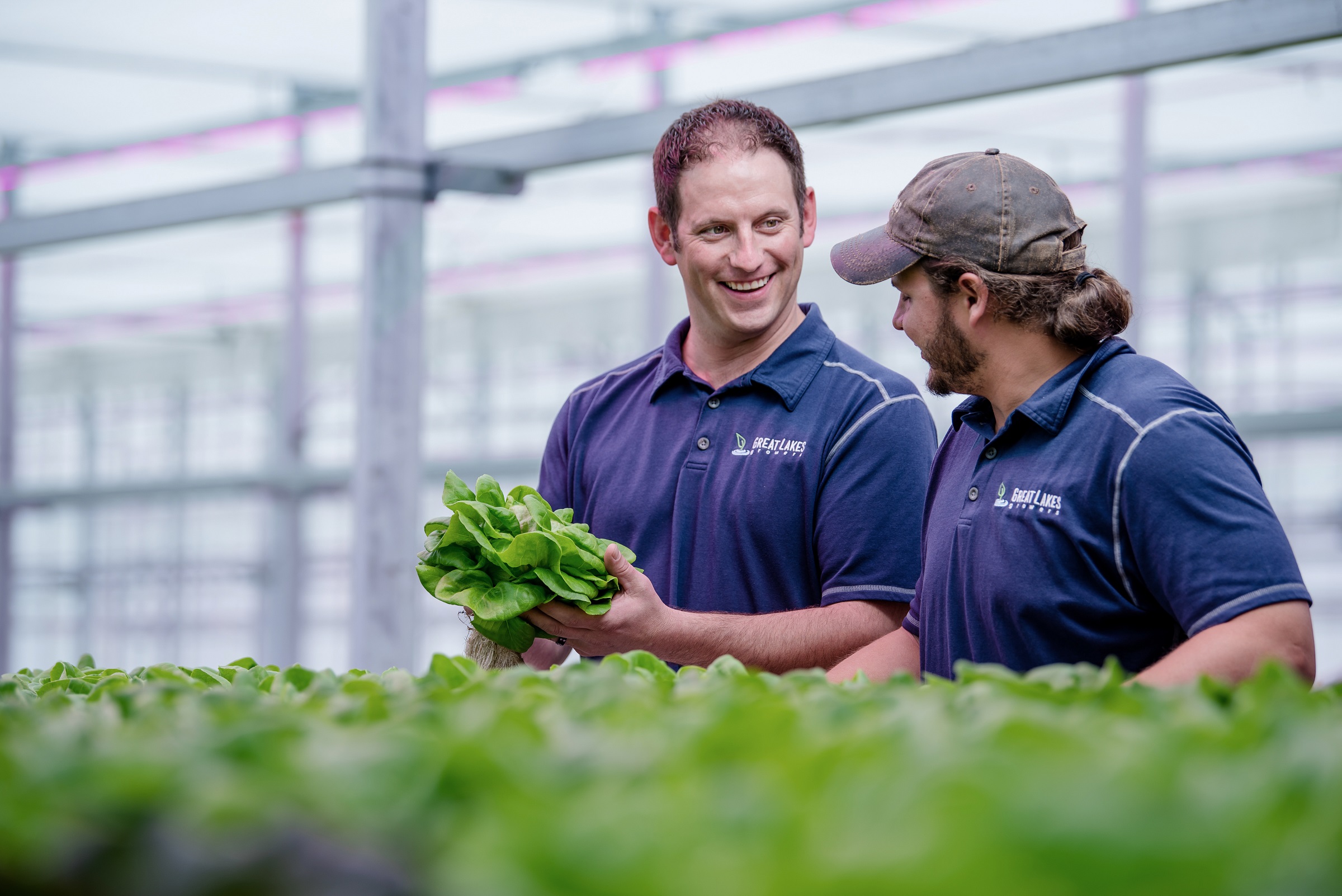 Making financial sense - Greenhouse Management