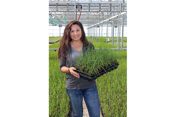 Hoffman Nursery announces addition of Leanne Kenealy - Greenhouse ...