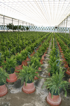 Improve watering efficiency with an irrigation system audit ...