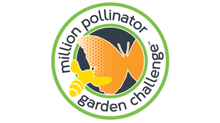 Million Pollinator Garden Challenge brings attention to importance of ...