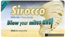 Sirocco Insecticide/Miticide - Greenhouse Management