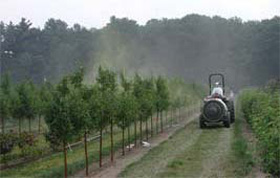 EPA revamps pesticide database - Greenhouse Management