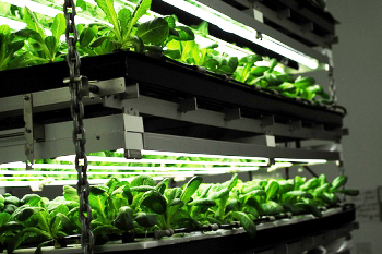 Converted Organics to acquire TerraSphere Systems - Greenhouse Management