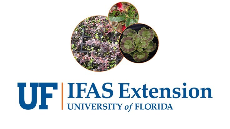New plant breeder joins University of Florida - Greenhouse Management