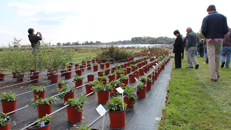 Schedule set for 2018 IPPS Eastern Region annual conference ...