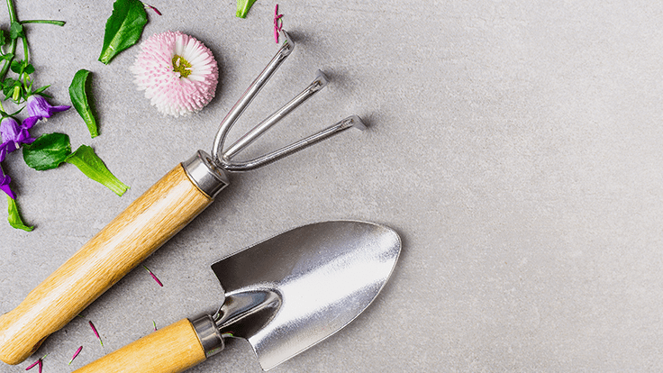 Don’t miss out! Today is the deadline to apply for the GardenComm scholarship - Greenhouse ...