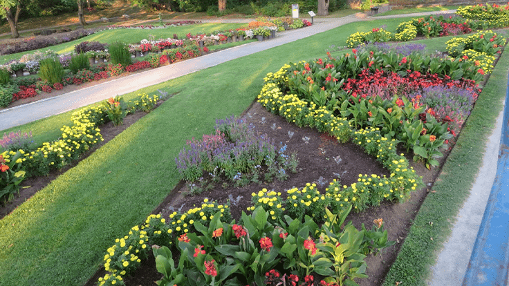 AAS announces 2021 Landscape Design Challenge winners - Greenhouse ...