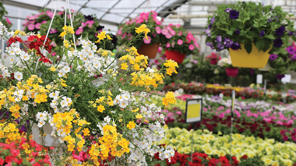 Getting started with plant growth retardants - Greenhouse Management