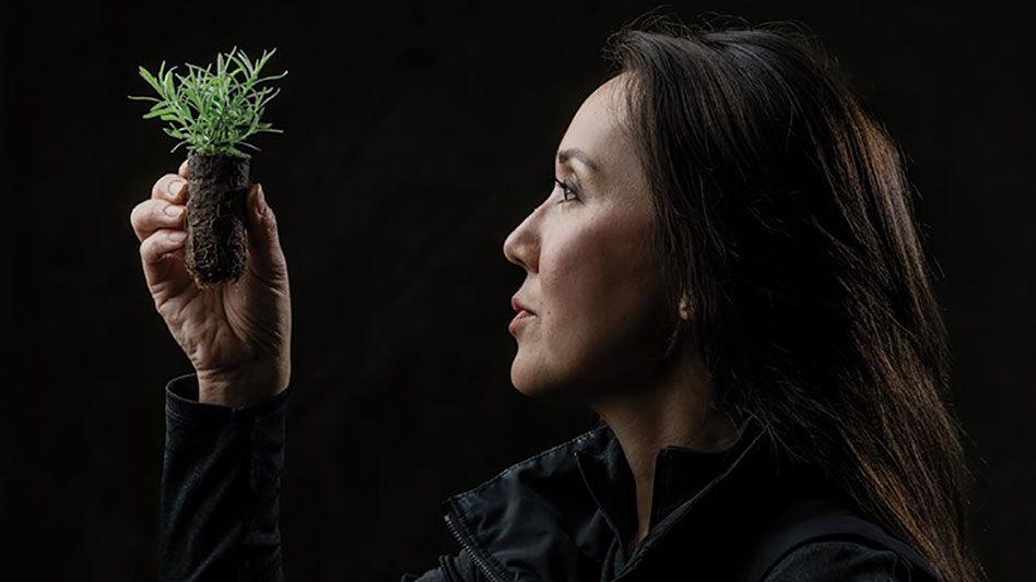 Ecological insight - Greenhouse Management