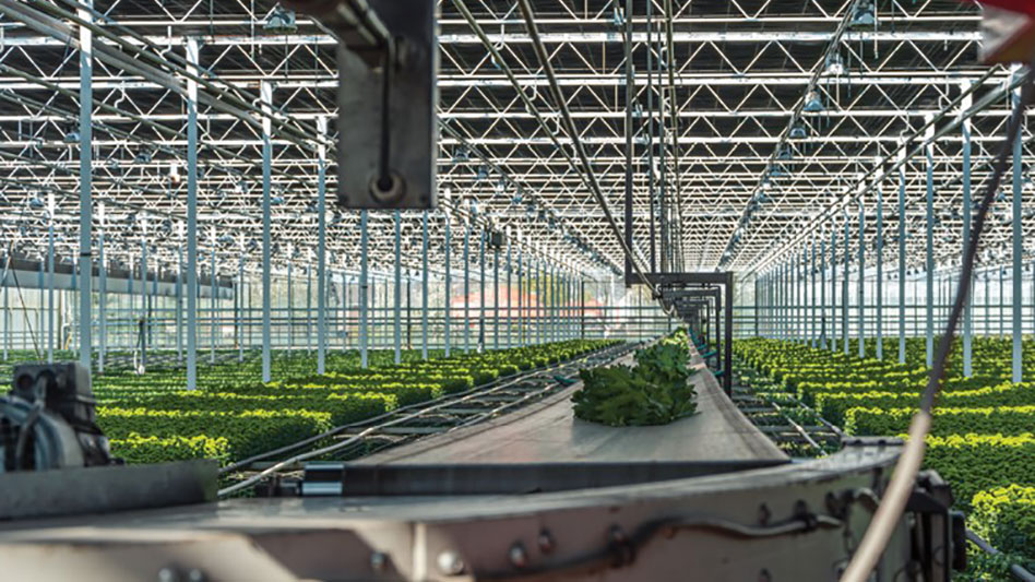 Motorized movement - Greenhouse Management