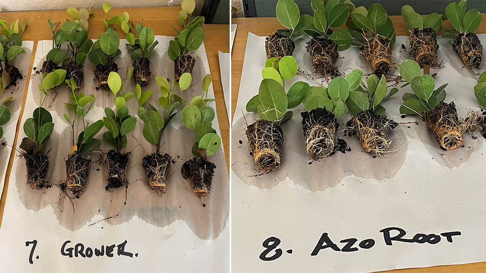 Azo Root is now available from Harrell’s - Greenhouse Management