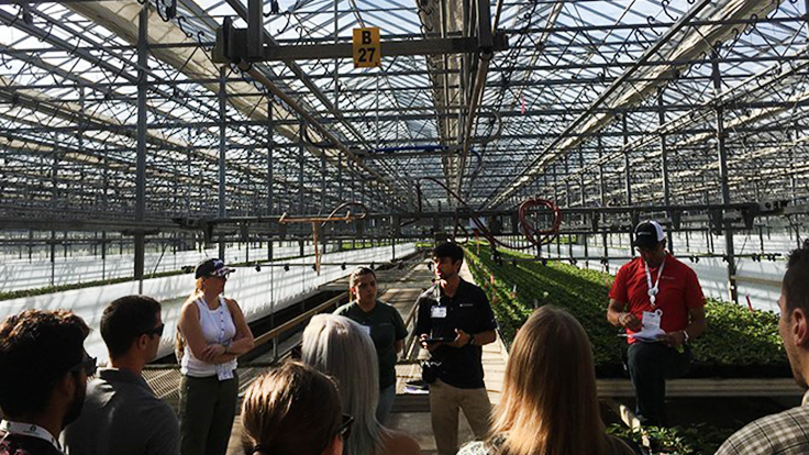 Top stories from Greenhouse Management’s website - Greenhouse Management