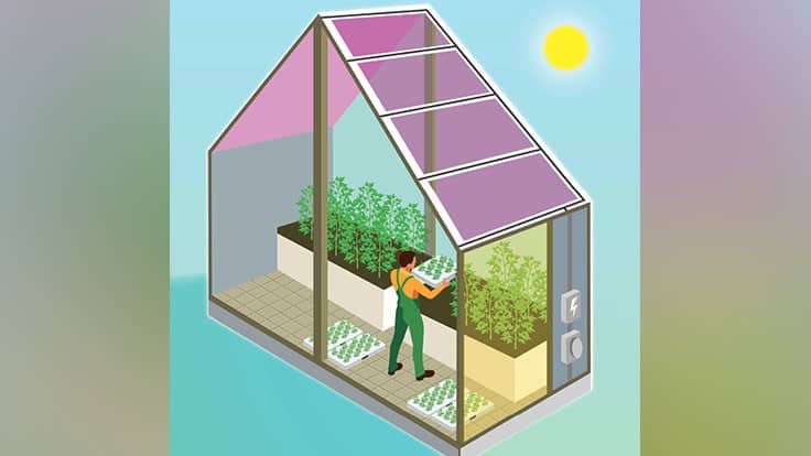 The future of greenhouses - Greenhouse Management