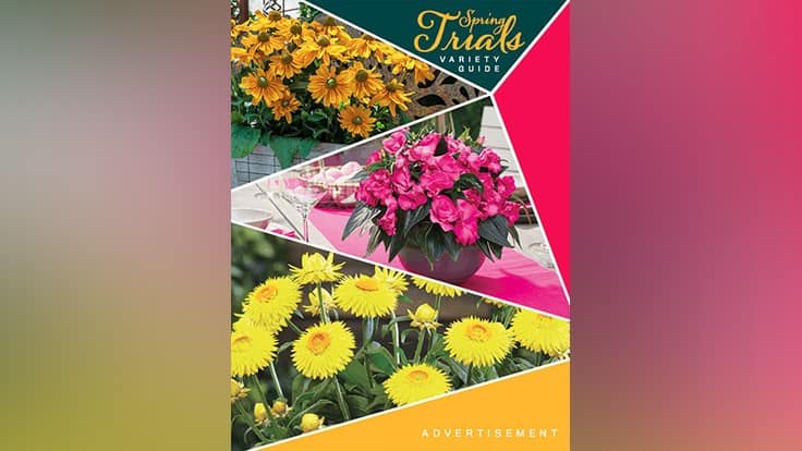 Spring Trials Variety Guide - Greenhouse Management